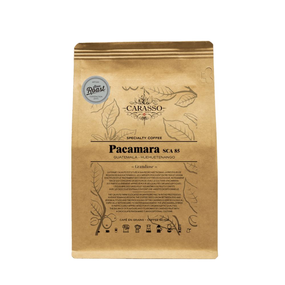 L'art du café | Cafés Carasso